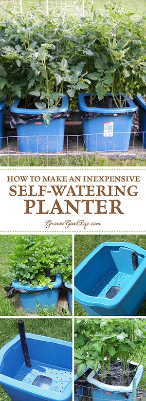 Build Your Own Self Watering Containers