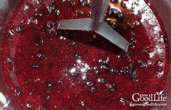 Homemade Blueberry Syrup with Honey