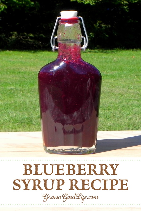 Homemade Blueberry Syrup with Honey
