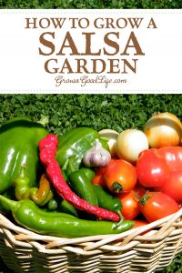 How to Grow a Salsa Garden