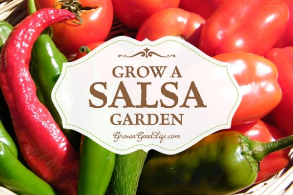 How to Grow a Salsa Garden
