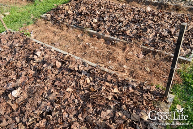 5 Ways Organic Mulch Helps Your Vegetable Garden