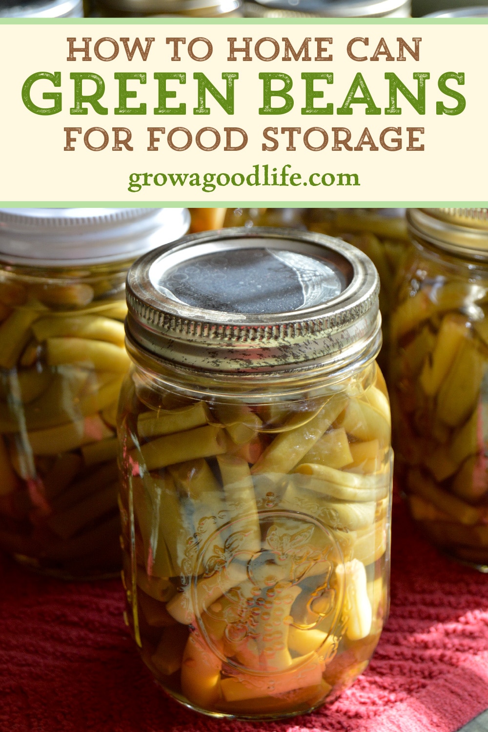 Canning Green Beans for Food Storage