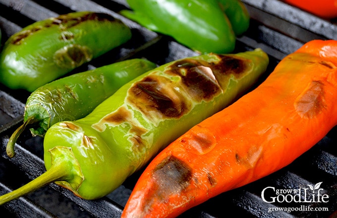 Grilled Tomato Salsa Recipe