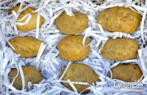 14 Crops for Winter Food Storage