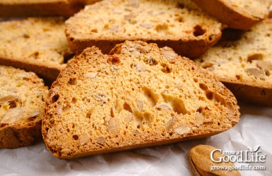 Toasted Almond Anise Biscotti Recipe
