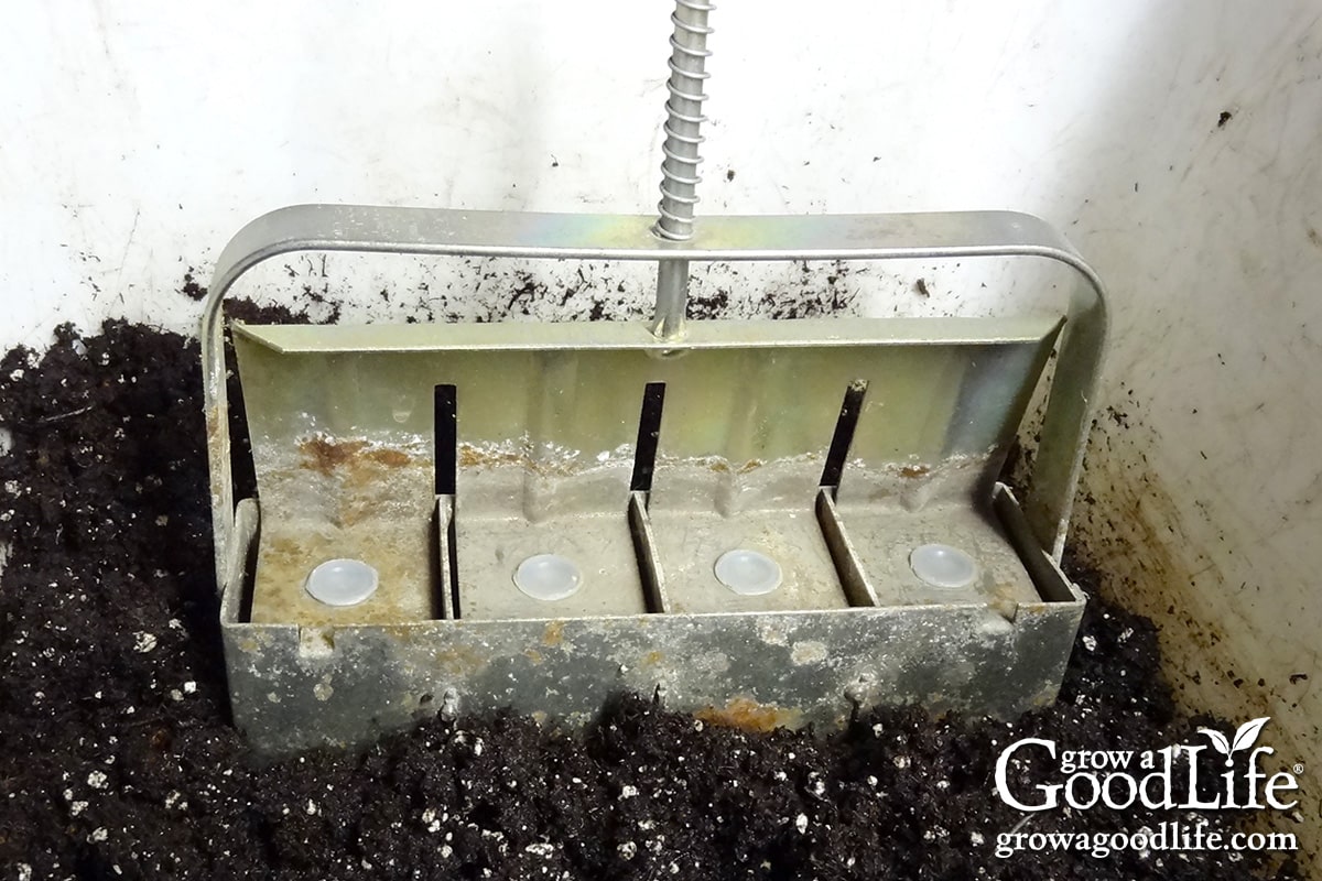 How to Use Soil Blocks for Growing Seedlings