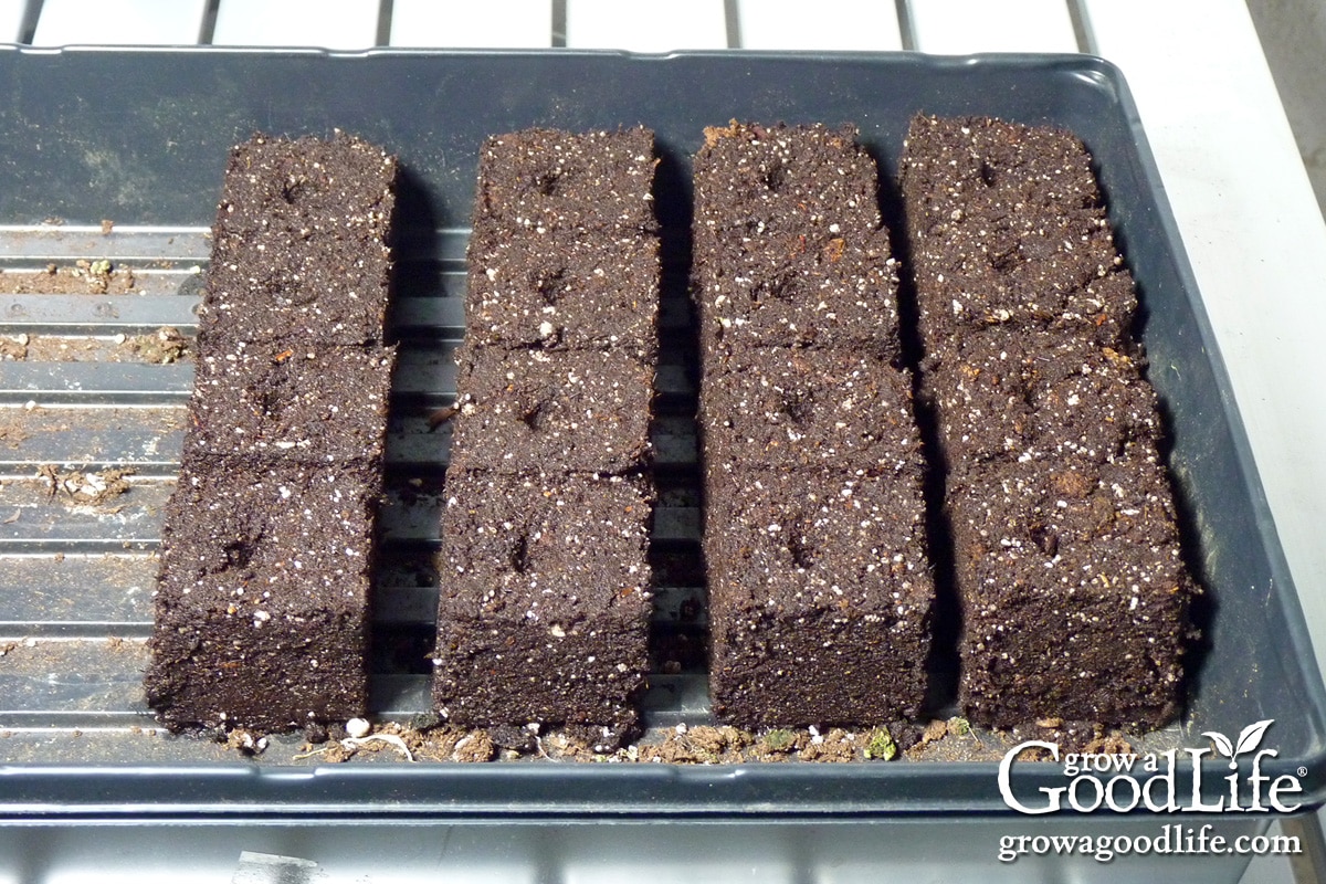 How to Use Soil Blocks for Growing Seedlings