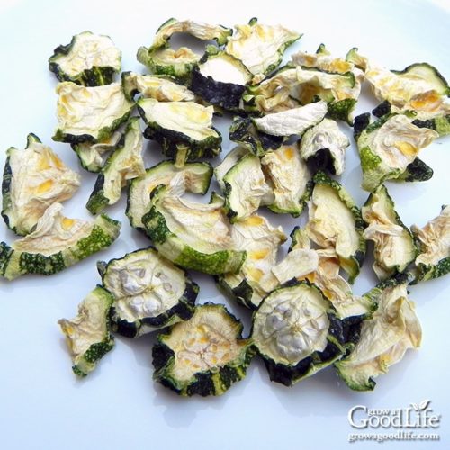 Dehydrating Zucchini for Food Storage