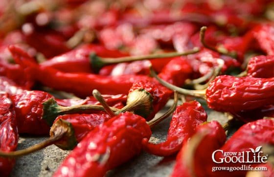 3 Ways to Dry Peppers for Food Storage