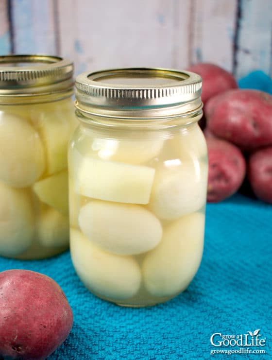 Canning Potatoes: How to Pressure Can Potatoes for Food Storage