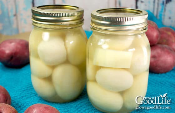 Canning Potatoes: How to Pressure Can Potatoes for Food Storage