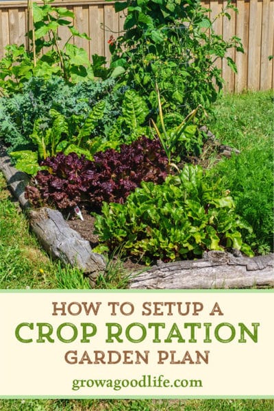 Benefits of Crop Rotation for Your Vegetable Garden