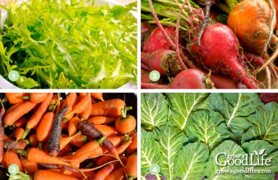 15 Fast Growing Vegetables for Spring