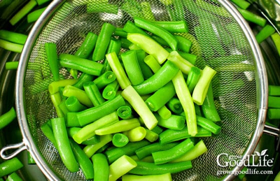 How to Freeze String Beans