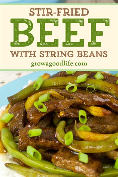 Stir-Fried Beef with String Beans