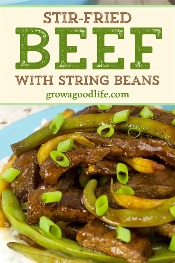 Stir-Fried Beef with String Beans