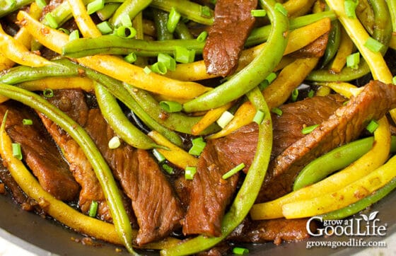 Stir-Fried Beef with String Beans