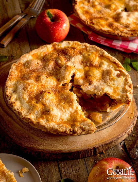 Homemade Apple Pie Recipe