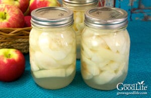 Canning Apples for Food Storage