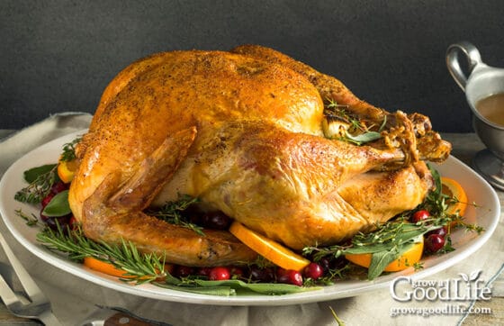 Roasted Turkey with Italian Sausage Stuffing