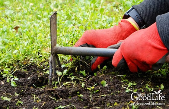 Natural Weed Control in the Vegetable Garden