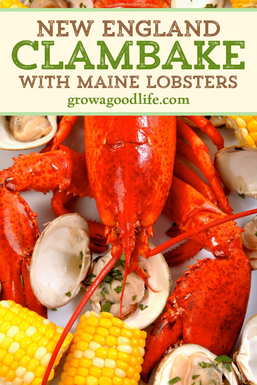 Classic New England Clambake