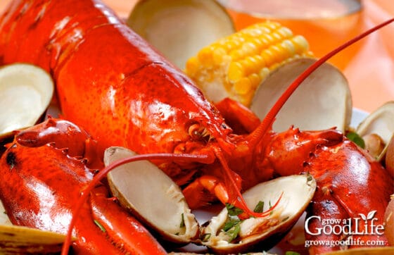 Classic New England Clambake