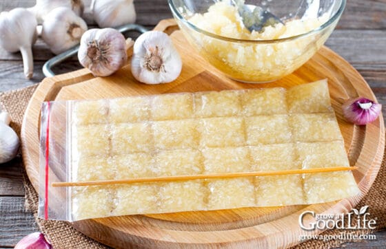 How to Freeze Garlic