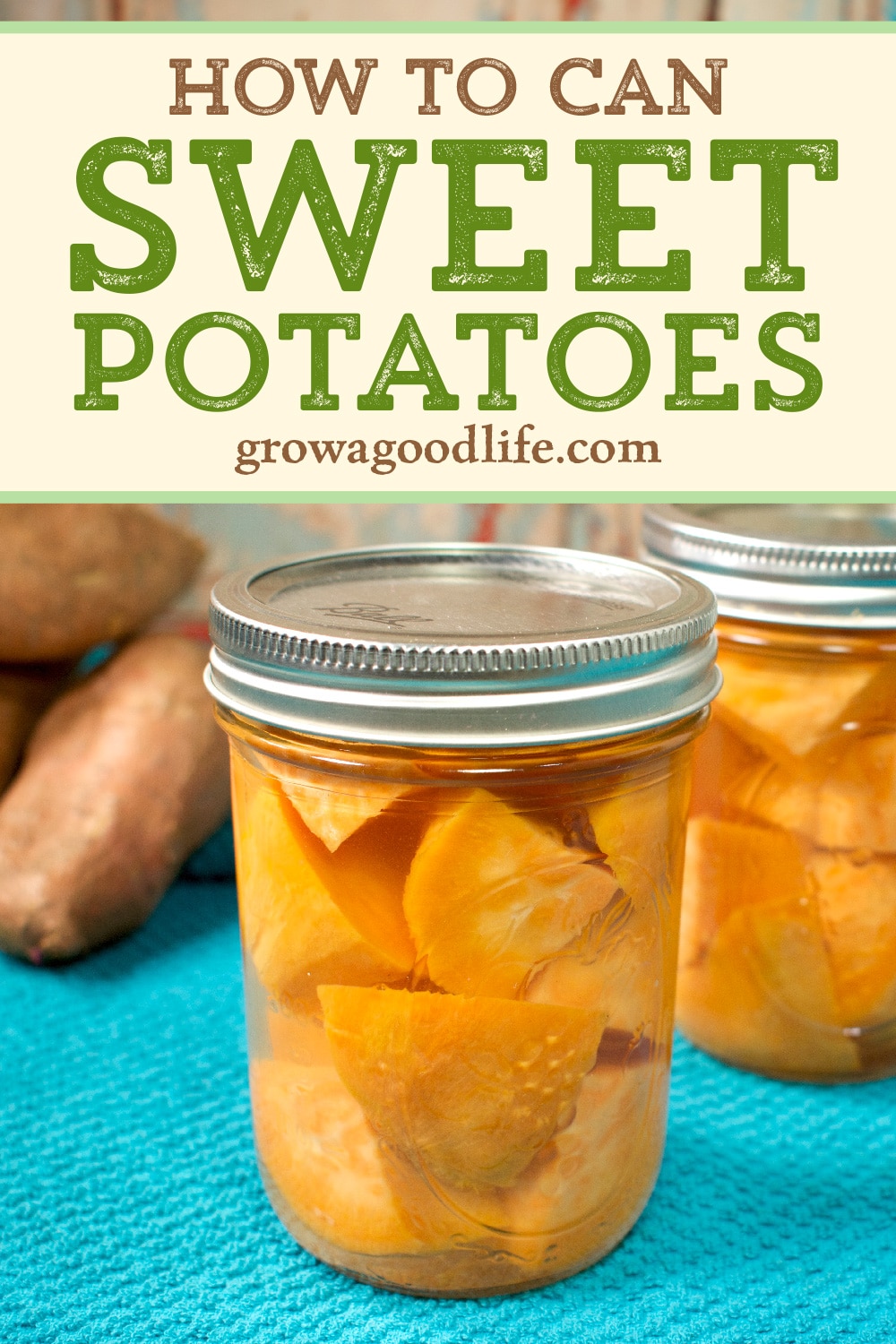 Canning Sweet Potatoes