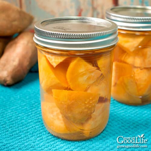Canning Sweet Potatoes