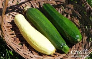 How to Grow Squash