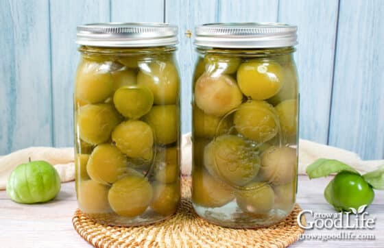 Canning Tomatillos
