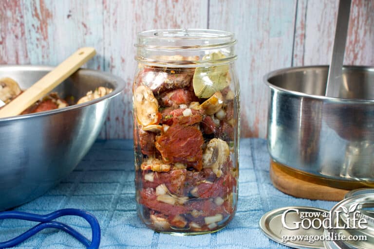 Beef Stroganoff Canning Recipe