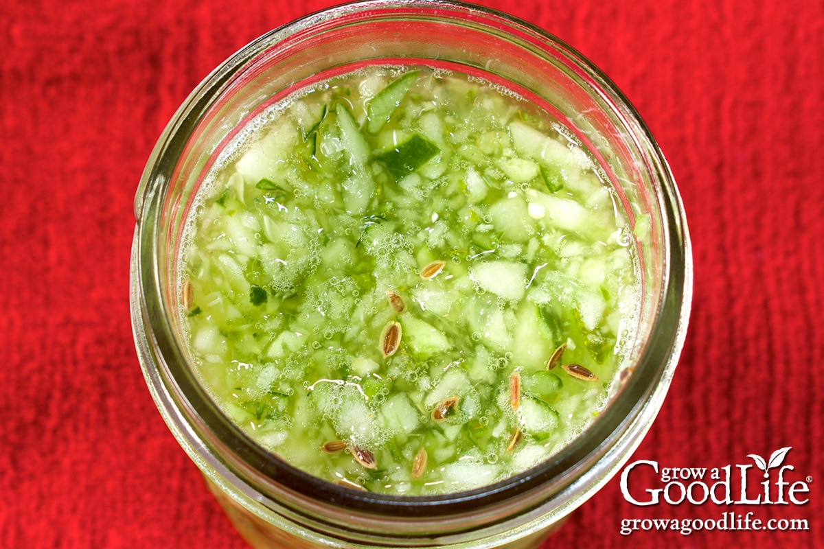 Dill Pickle Relish Canning Recipe