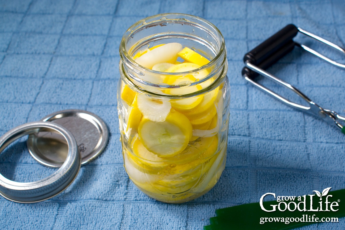 Pickled Summer Squash Canning Recipe