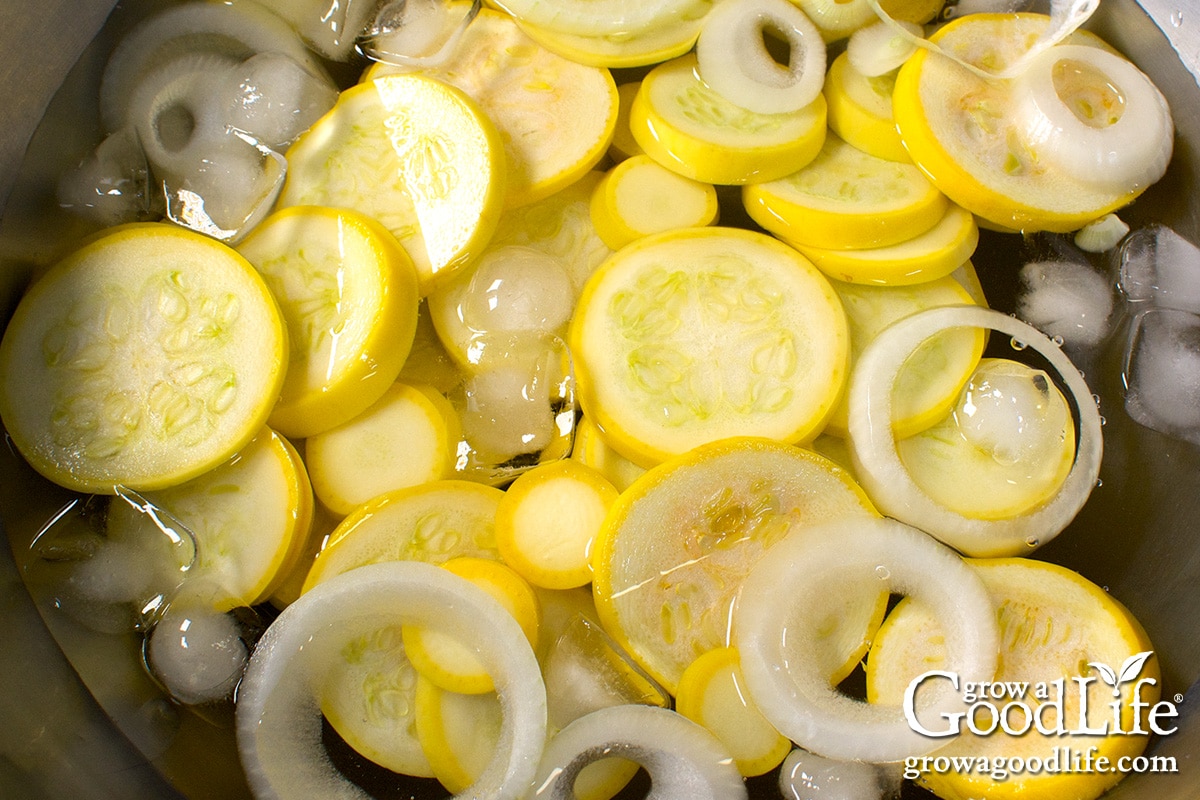 Pickled Summer Squash Canning Recipe