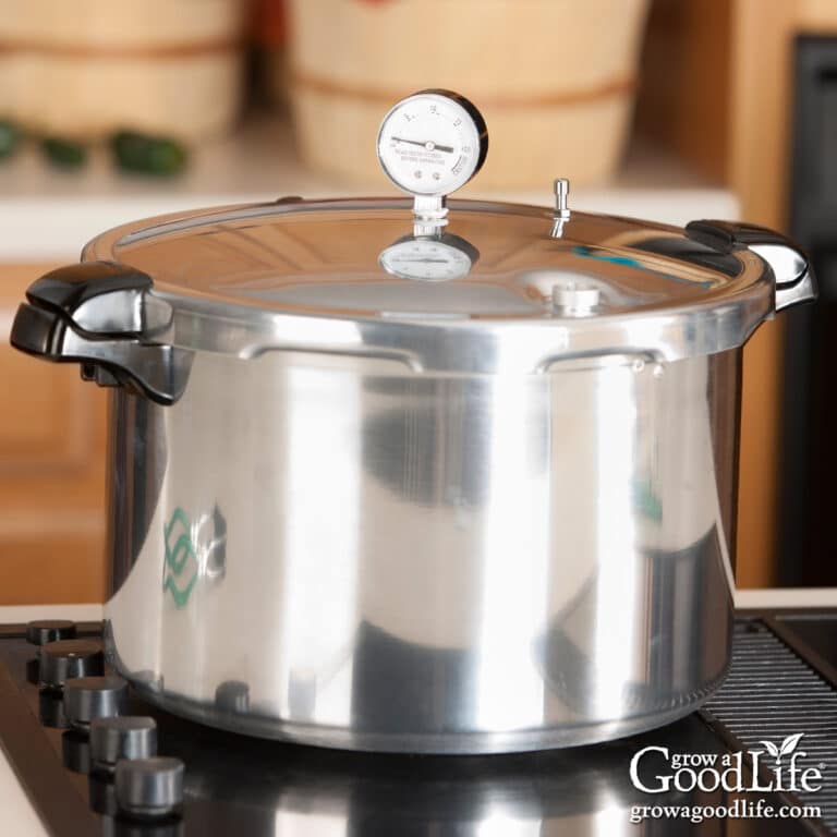 Pressure Canner Buying Guide: Find the Perfect Model for Your Kitchen