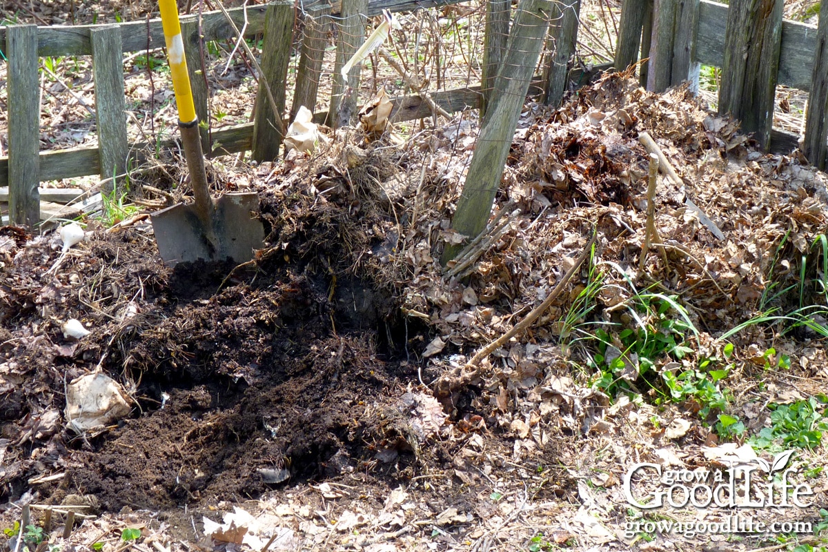 How to Make Leaf Mold to Improve Your Soil