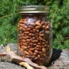 How to Store Seeds for Long-Term Viability